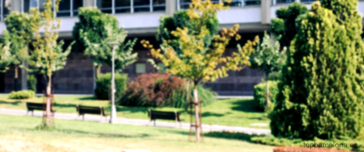 Los 20 mejores colegios públicos de Barcelona